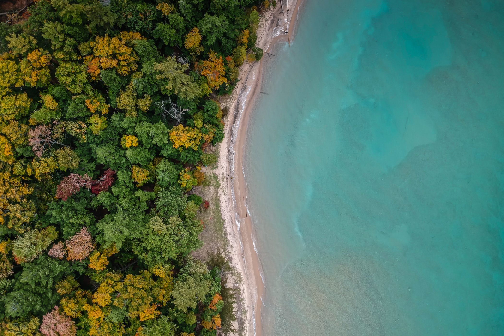 Traverse City, Michigan - Center on Rural Innovation